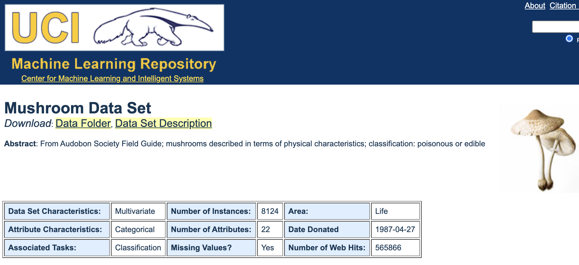Machine Learning Web App with Streamlit and Python - Ruslan Magana Vsevolodovna